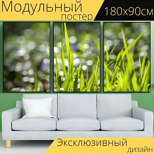 Модульный постер "Трава, лес, свет" 180 x 90 см. для интерьера