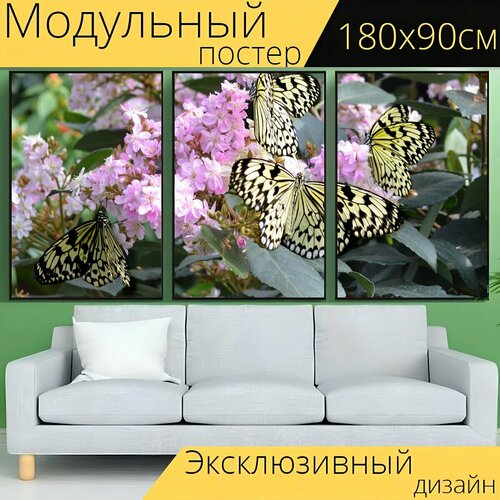 Модульный постер "Бабочки, весна, красивая" 180 x 90 см. для интерьера