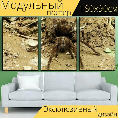 Модульный постер "Макрос, насекомое, паук" 180 x 90 см. для интерьера