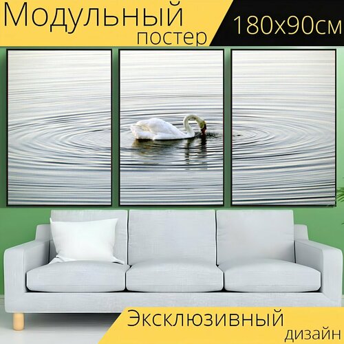 Модульный постер "Лебедь, вода, круги" 180 x 90 см. для интерьера