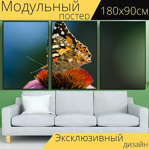 Модульный постер "Бабочка, животное, макрос" 180 x 90 см. для интерьера