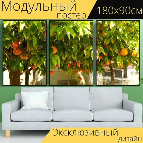 Модульный постер "Апельсин, цитрус, оранжевый" 180 x 90 см. для интерьера