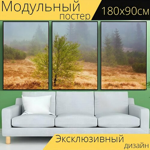 Модульный постер "Туман, лес, открытый" 180 x 90 см. для интерьера