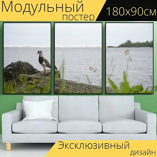 Модульный постер "Птица, море, сидя" 180 x 90 см. для интерьера