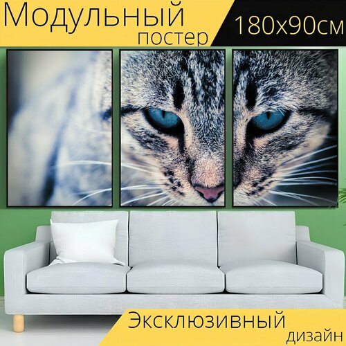 Модульный постер "Кошка, тигр, животное" 180 x 90 см. для интерьера