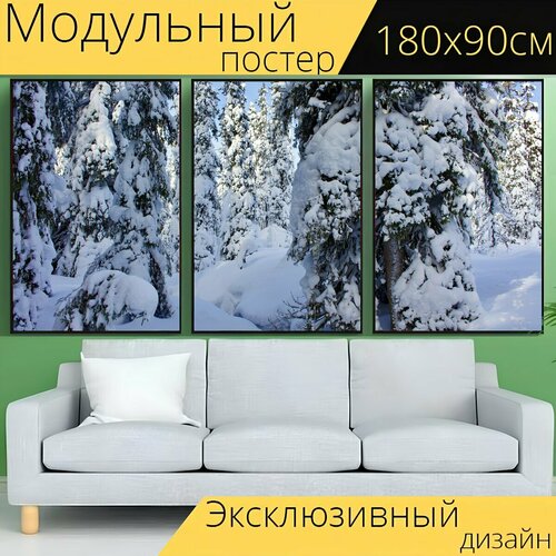 Модульный постер "Снег, лес, спортивный закон" 180 x 90 см. для интерьера