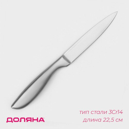 Нож кухонный универсальный Доляна Salomon, лезвие 12,5 см