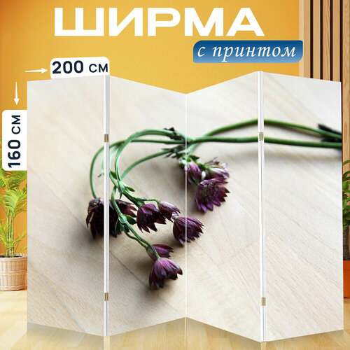 Ширма перегородка с принтом "Фиолетовый, цветы, флора" на холсте - 200x160 см. для зонирования, раскладная