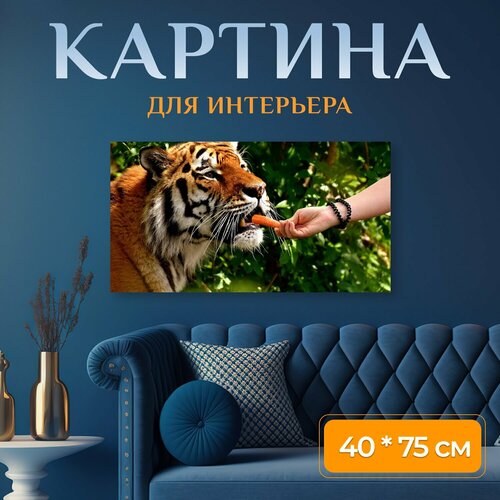 Картина на холсте "Тигр, хищник, подача" на подрамнике 75х40 см. для интерьера
