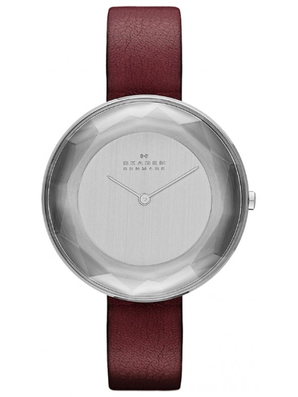 Наручные часы Skagen SKW2273