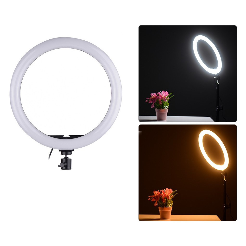 Светодиодная кольцевая лампа LED Ring Fill Light 26 см (Белый)