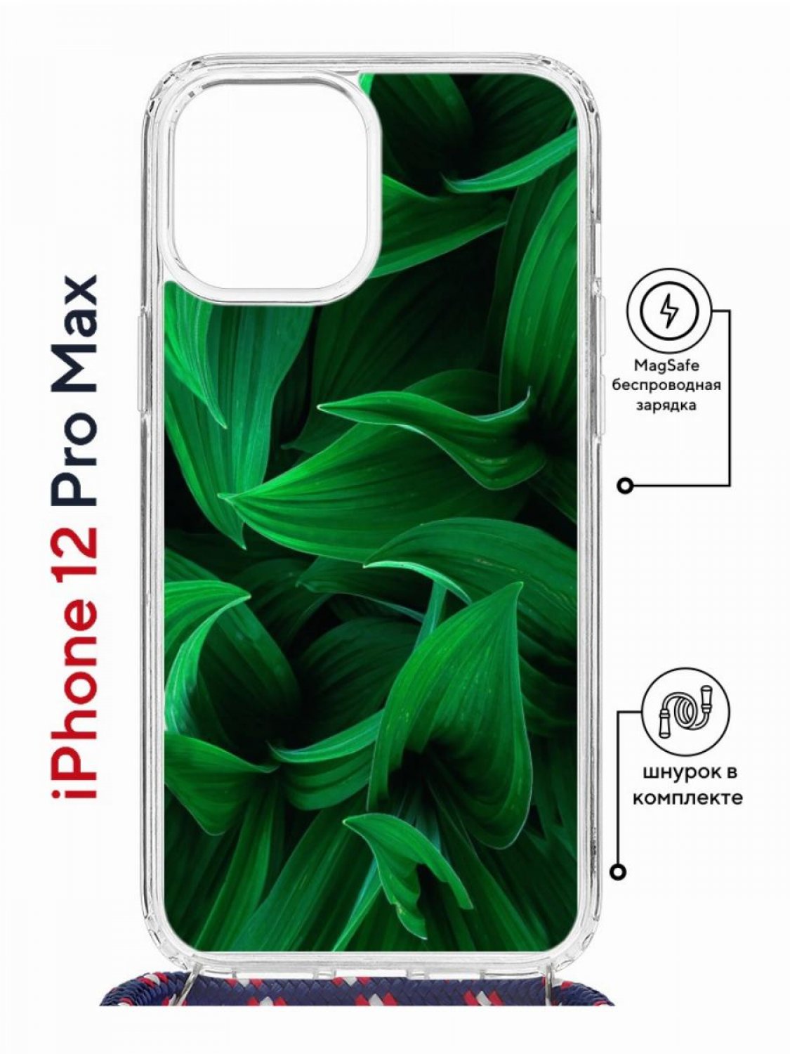 Чехол на iPhone 12 Pro Max MagSafe с принтом Kruche Print Grass с магнитом, со шнурком