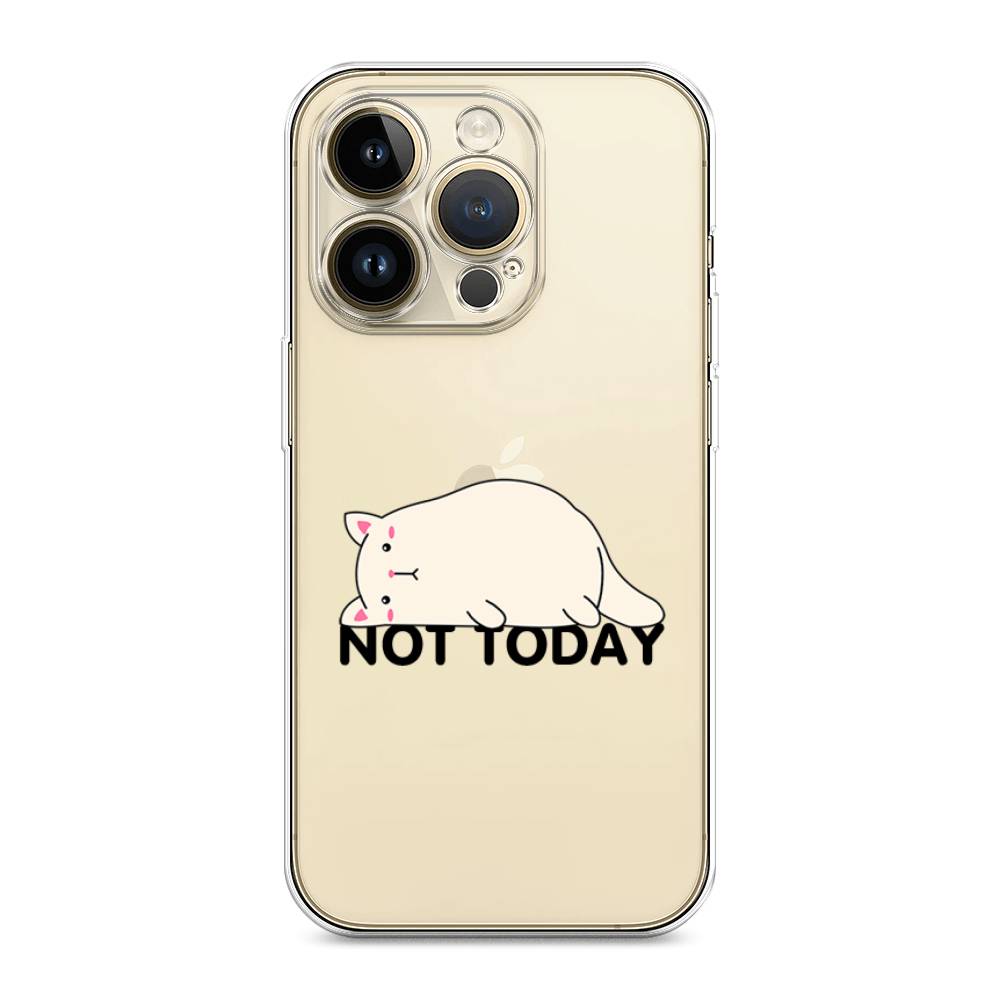 Чехол на Apple iPhone 14 Pro Max "Cat not today"