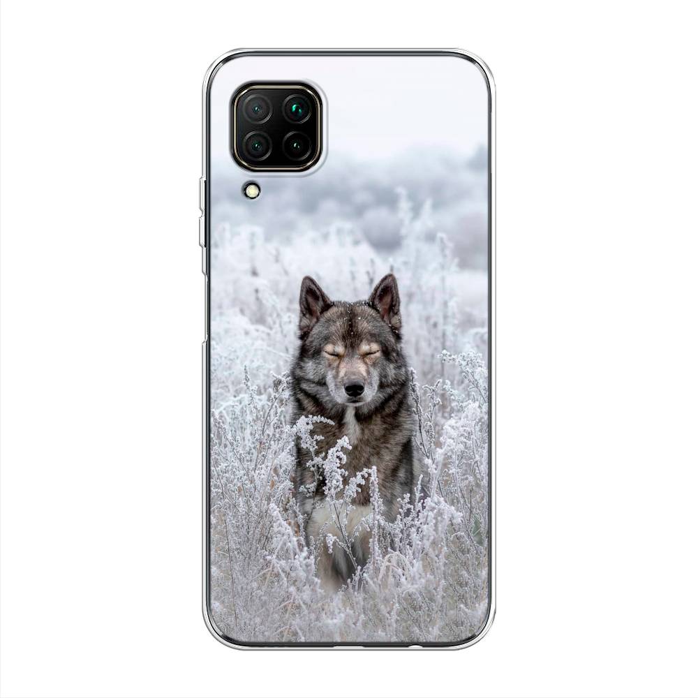 Чехол Awog  на Huawei P40 Lite "Волк в поле"