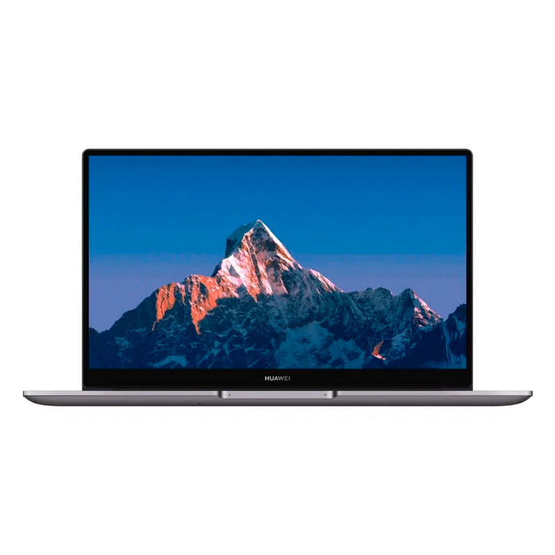 Ноутбук Huawei MateBook B3-520 BDZ-WDH9A Gray (53013JHX)