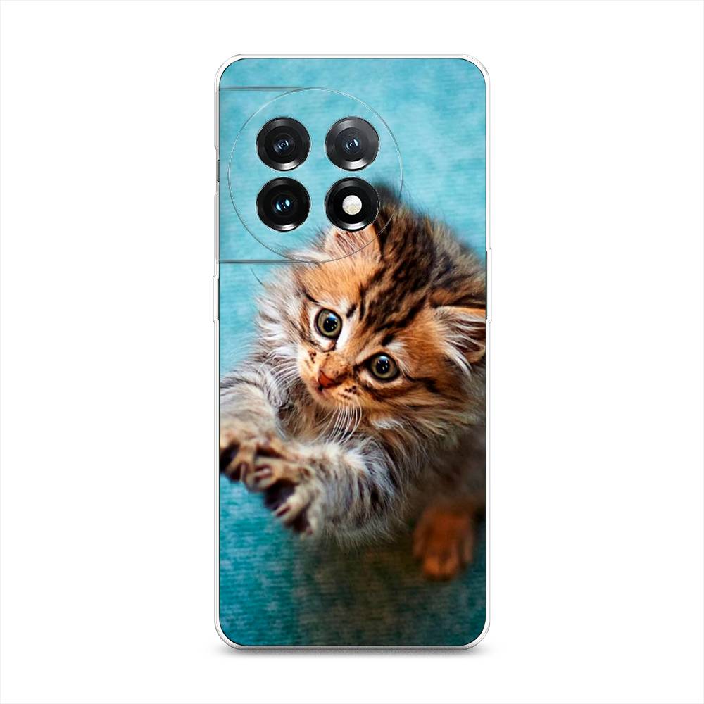 Чехол Awog на OnePlus 11 "Котенок просит есть"
