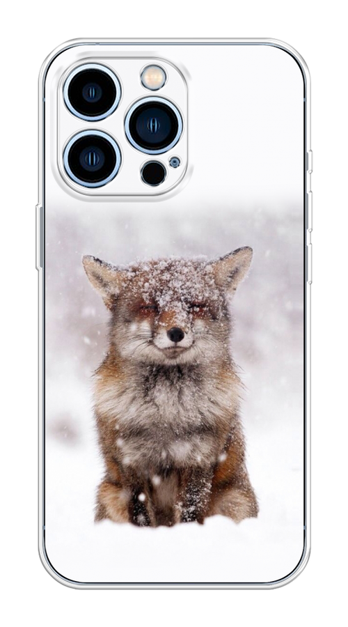 Чехол на Apple iPhone 13 Pro "Зимняя лиса"