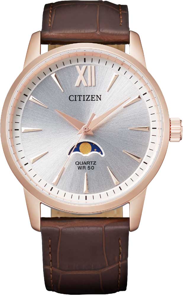 Наручные часы мужские Citizen AK5003-05A