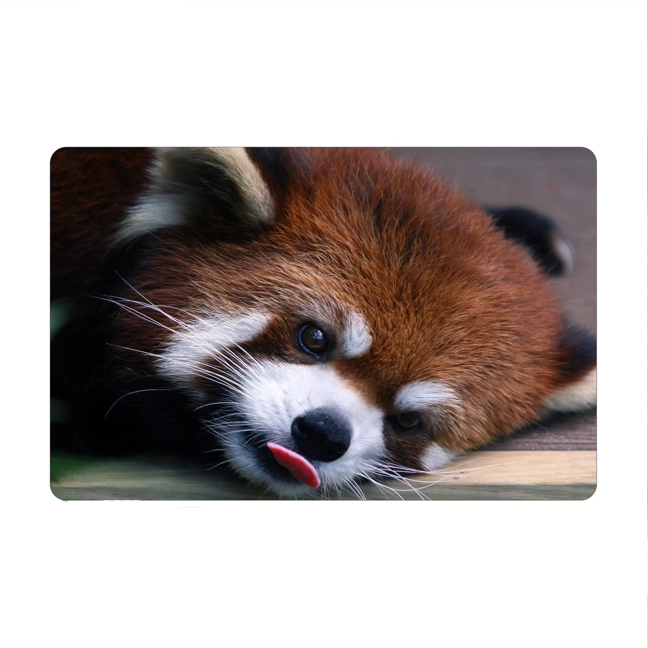 Игровой коврик для мыши CoolPodarok Животные. Рыжая панда