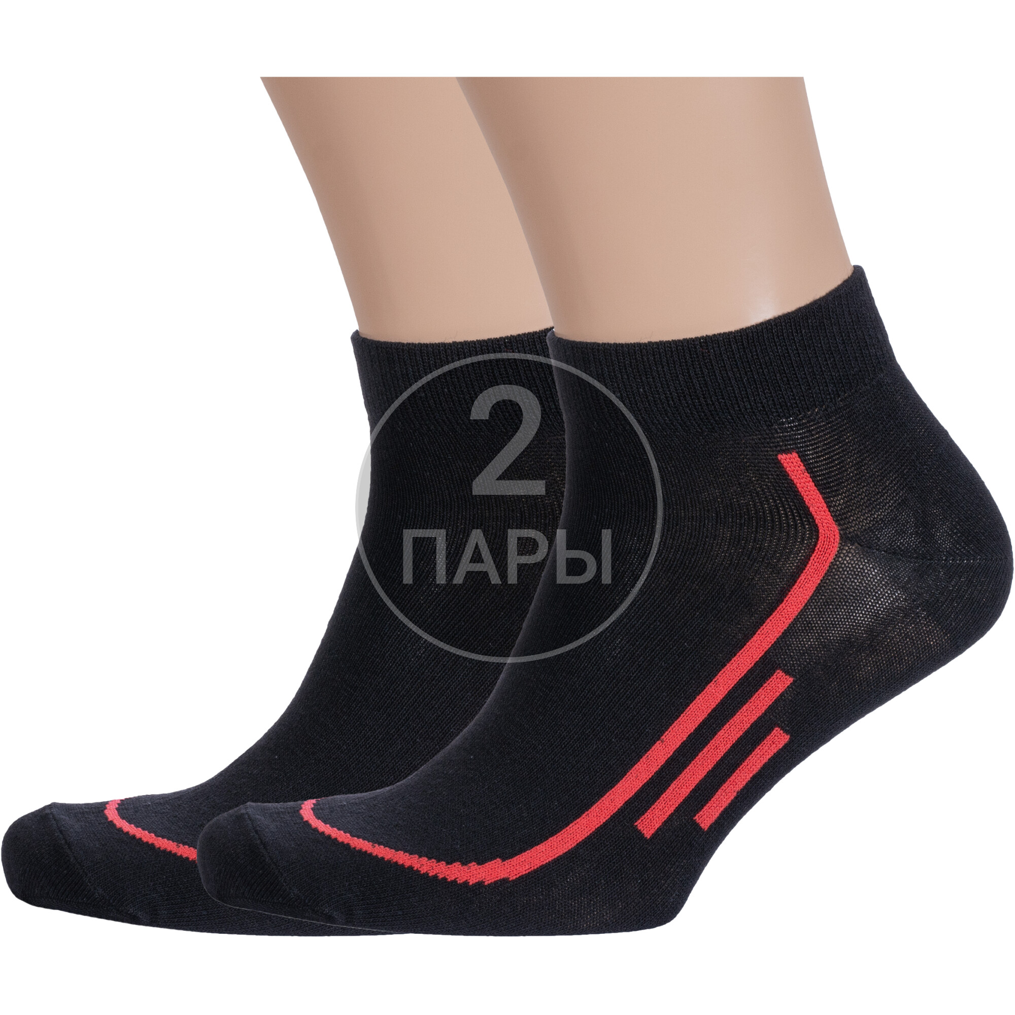 Комплект носков мужских Борисоглебский трикотаж 2-4С3001 разноцветных 27-29