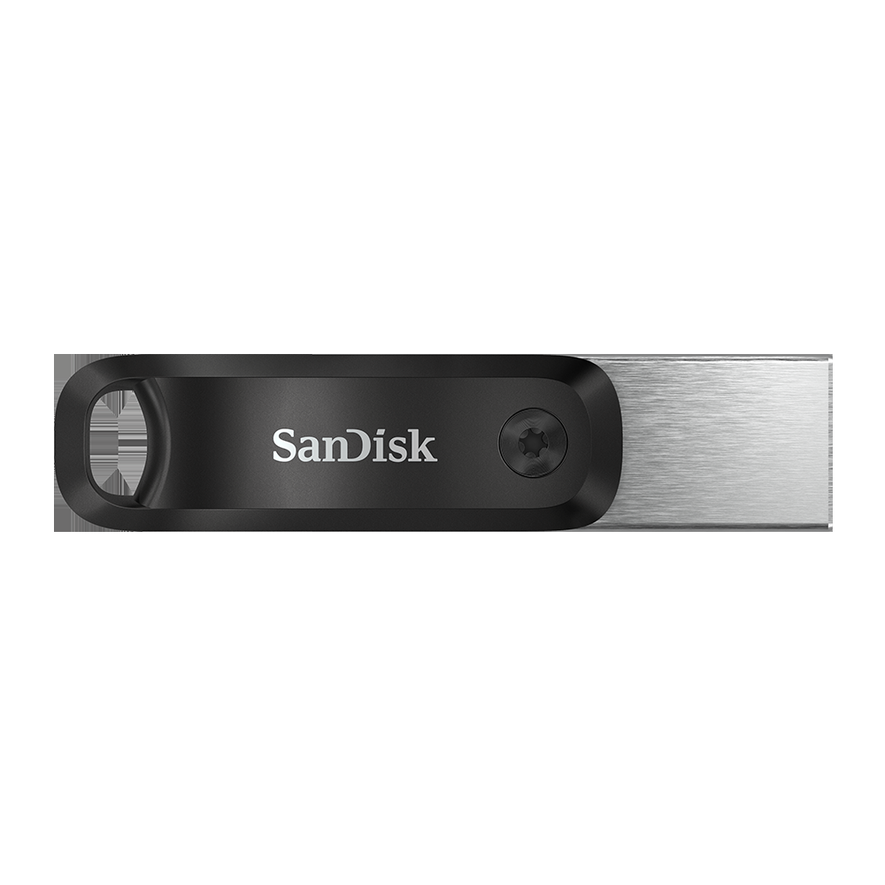 Флешка SanDisk iXpand GO 256ГБ Silver/Black (SDIX60N-256G-GN6NE)