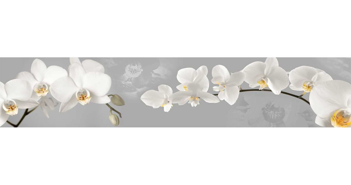 Кухонный фартук Dellitas Белые орхидеи 2586 200х60см АБС пластик фотопечать