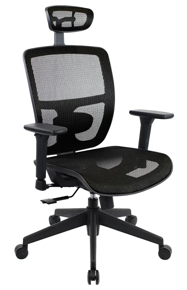 Эргономичное компьютерное кресло Everprof Dublin Черный