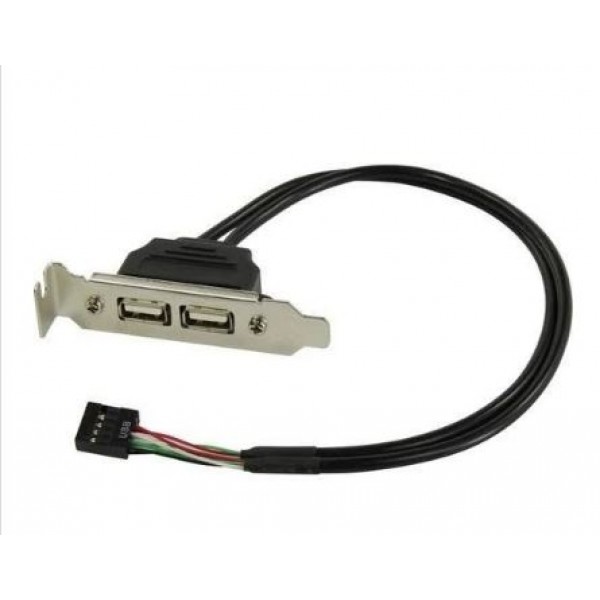 Планка портов в корпус Orient C026 2xUSB 2.0, Low Profile, длина кабеля 30см, oem (30826)